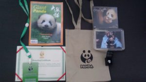 Hugging a Panda in Chengdu, China! - The Travel Sisters