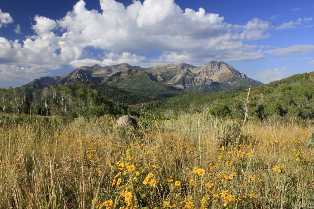 Best Outdoor Things to do in Heber Valley, Utah